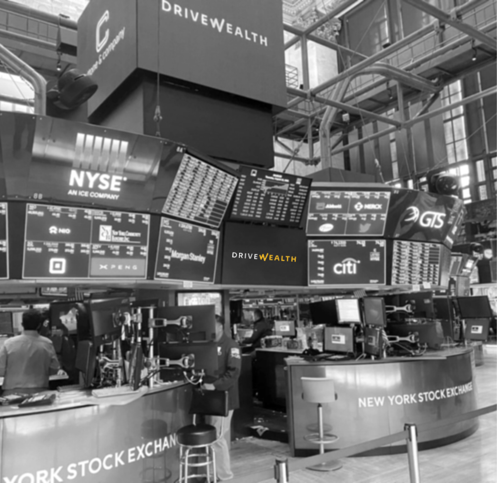 Home – DriveWealth